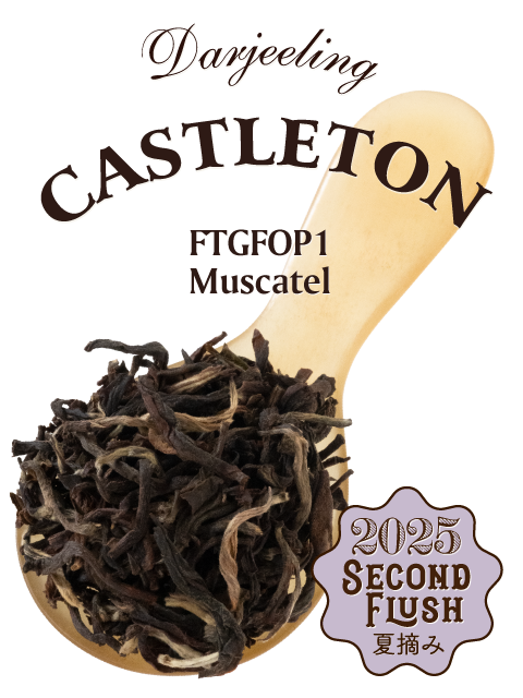 ダージリン 2025年 セカンドフラッシュ キャッスルトン茶園 DJ-190 マスカテル｜紅茶専門店TEAPOND ティーポンド