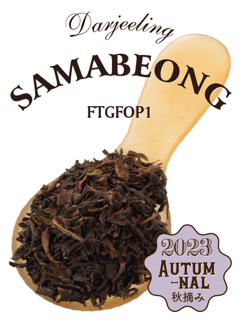 2023 Darjeeling Autumnual Samabeong Tea Estate DJ-209 | Tea specialty store TEAPOND – 紅茶専門店TEAPOND