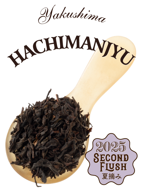屋久島 2025年 夏摘み 八万寿茶園｜紅茶専門店TEAPOND ティーポンド