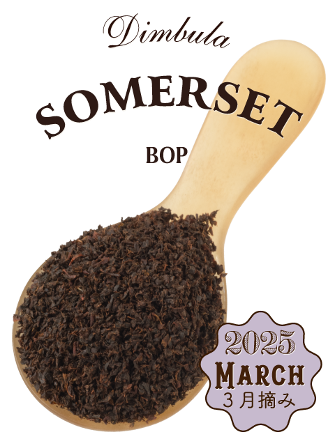 Dimbula 2025 Somerset Tea Estate BOP | Teapond, a specialty tea shop ...