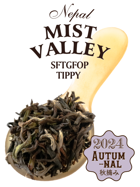 2024 Nepal Ilam Autumnal Mist Valley Tea Garden EX/O-33 | Tea ...