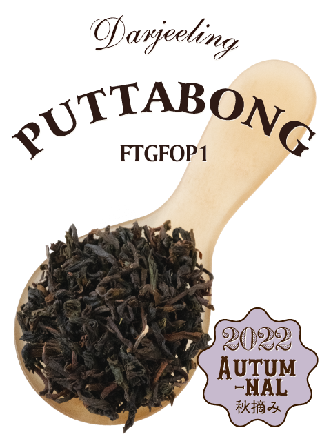 2022 Darjeeling Autumnal Puttabong Tea Estate DJ-426｜TEAPOND – 紅茶専門店TEAPOND